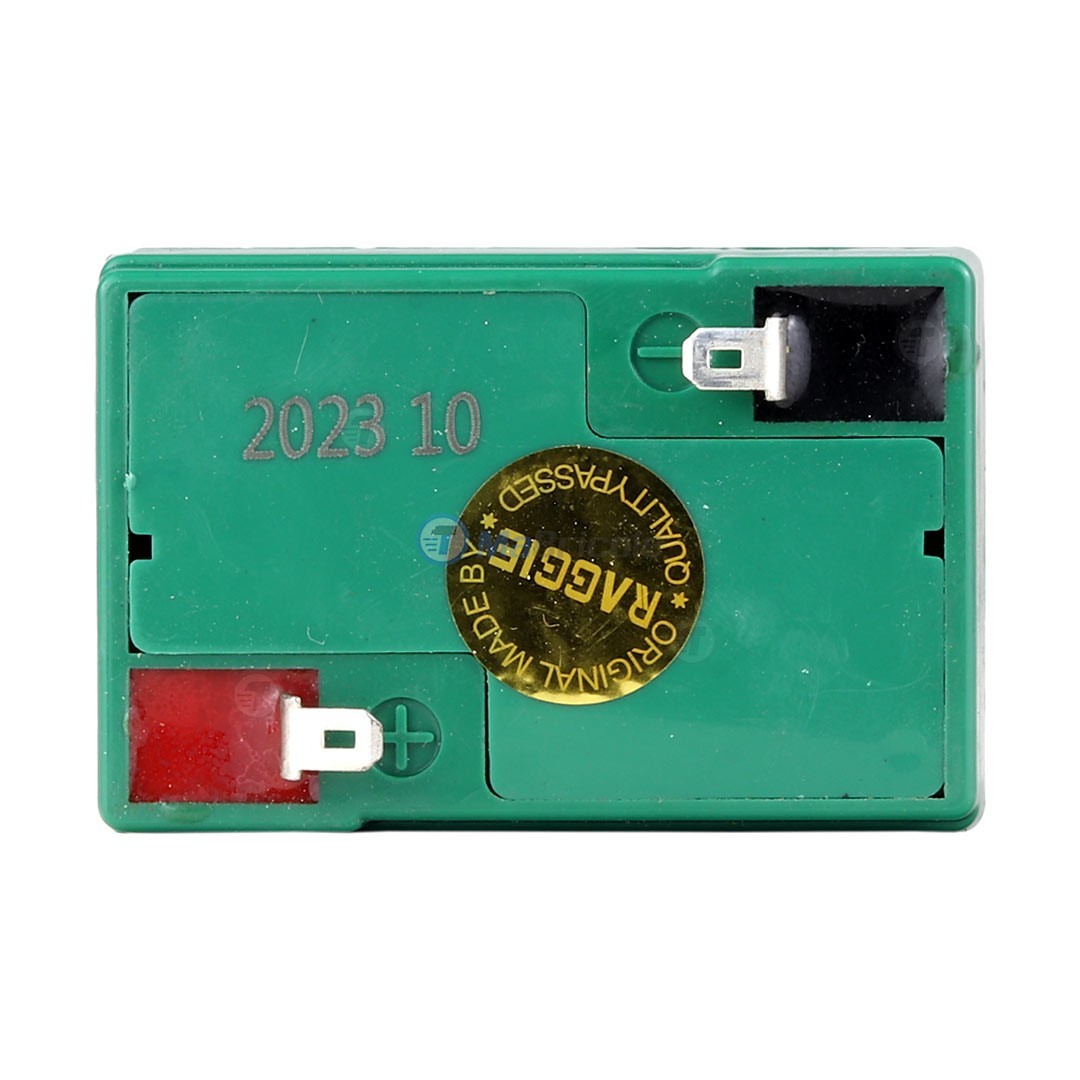 Batterie rechargeable au plomb scellée 6V 4AH RAGGIE | 3FM-4