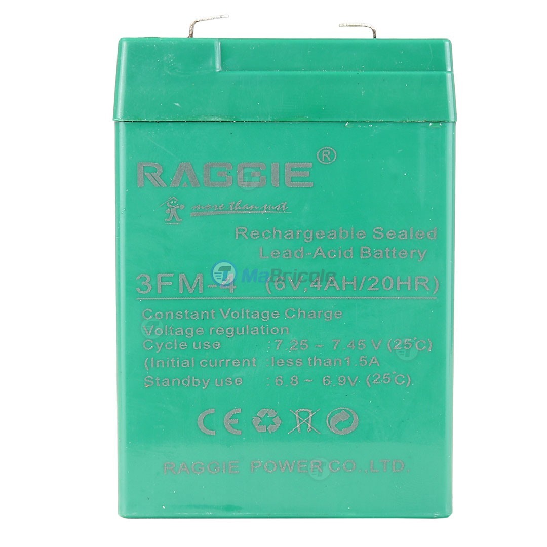 Batterie rechargeable au plomb scellée 6V 4AH RAGGIE | 3FM-4