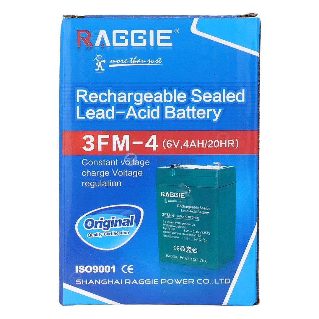 Batterie rechargeable au plomb scellée 6V 4AH RAGGIE | 3FM-4